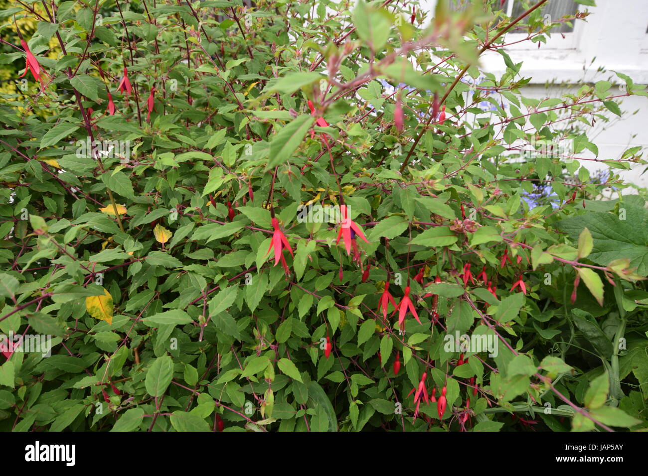 Colliers Wood Tower High Resolution Stock Photography and Images - Alamy