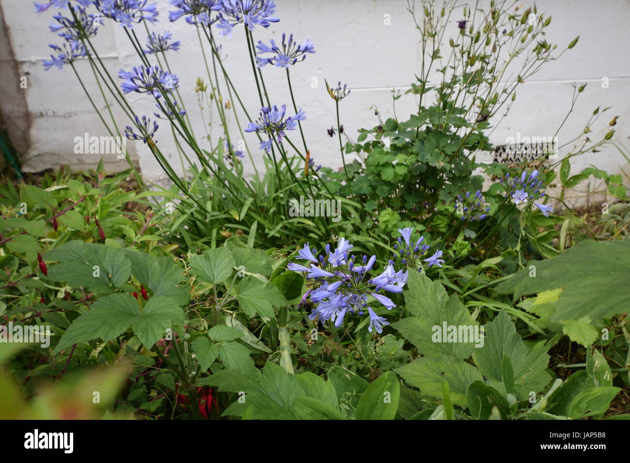 Colliers Wood Tower High Resolution Stock Photography and Images - Alamy
