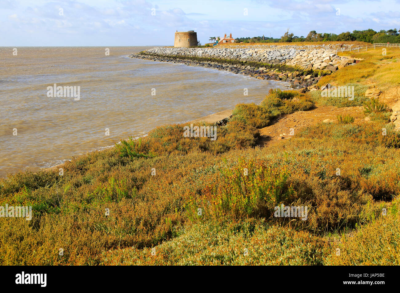 Martello tower W defended by rock armour from coastal erosion, East ...