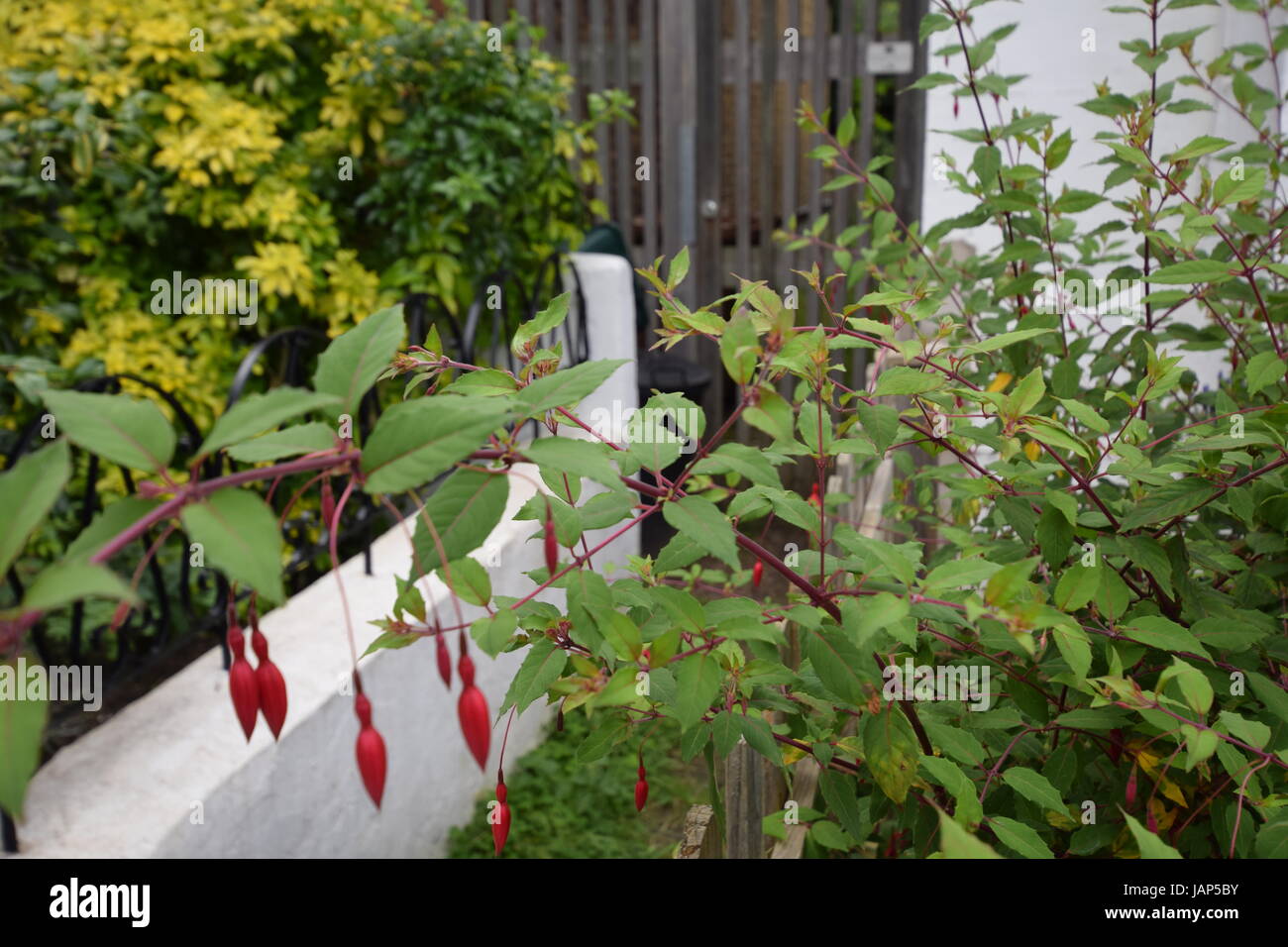Colliers Wood Tower High Resolution Stock Photography and Images - Alamy