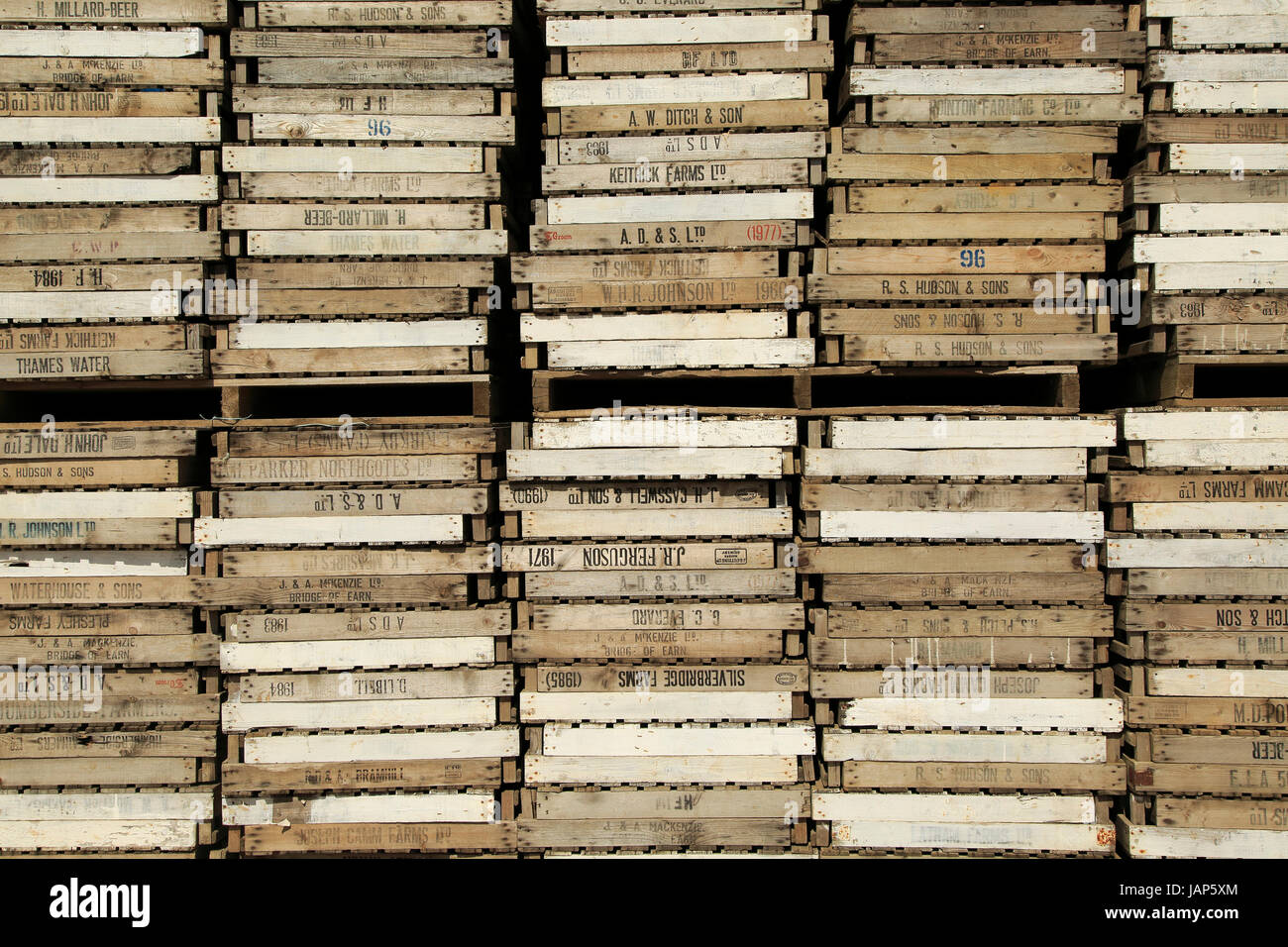 Stacked up trays used for potato seedlings, Boyton Hall Farm, Suffolk ...