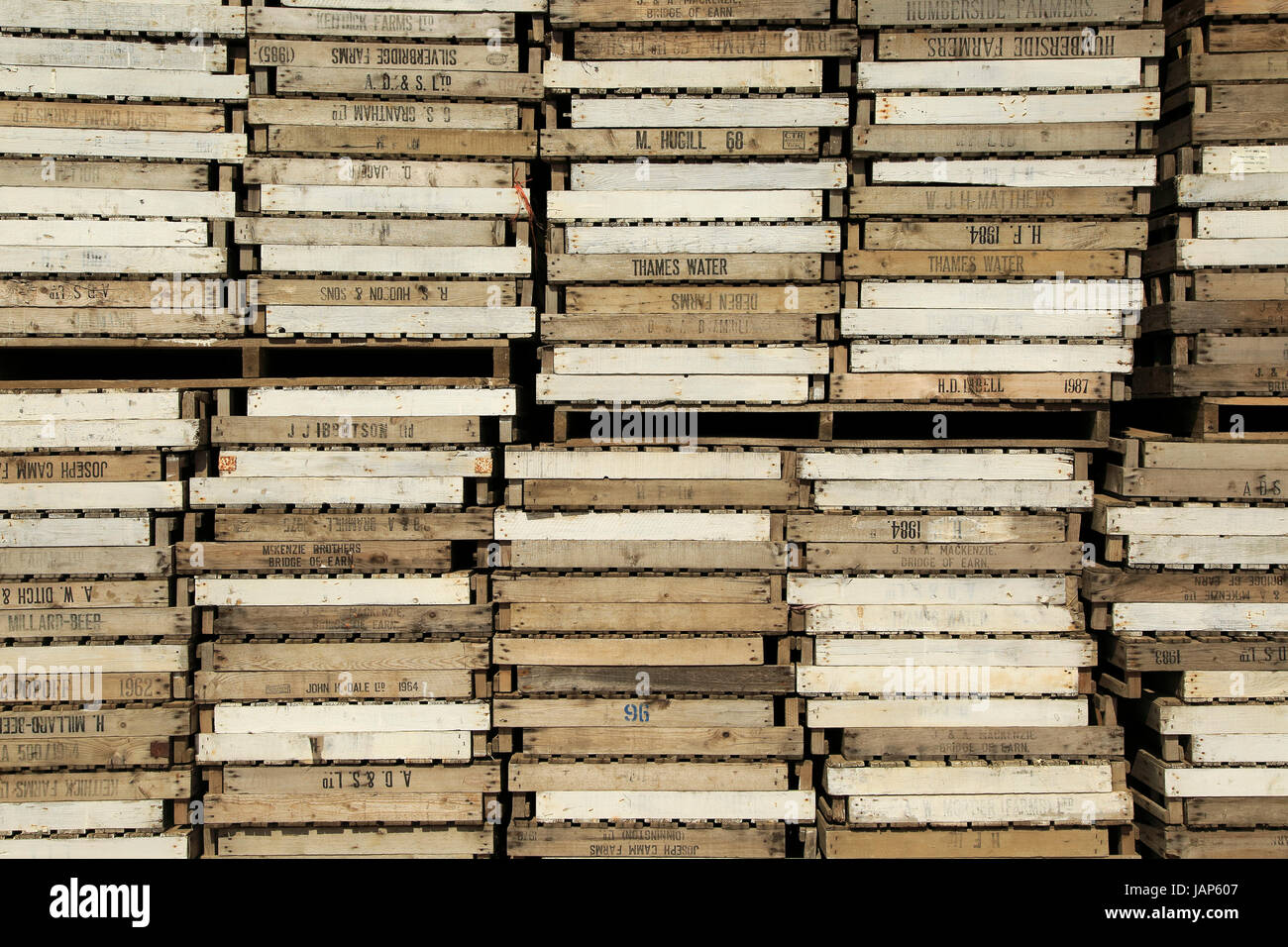 Stacked up trays used for potato seedlings, Boyton Hall Farm, Suffolk ...