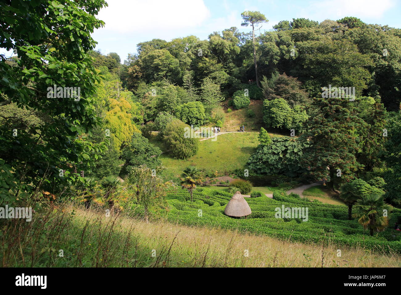 Maze in foreground at Glendurgan Garden, Cornwall, England, UK Stock ...