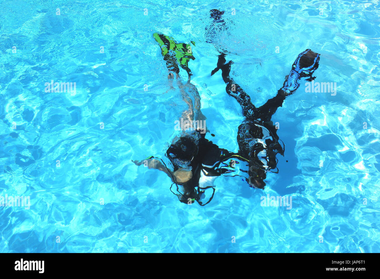 Diving training in a swimming pool Stock Photo - Alamy