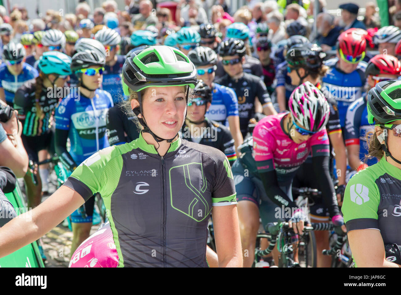 Dutch champion j hi-res stock photography and images - Alamy