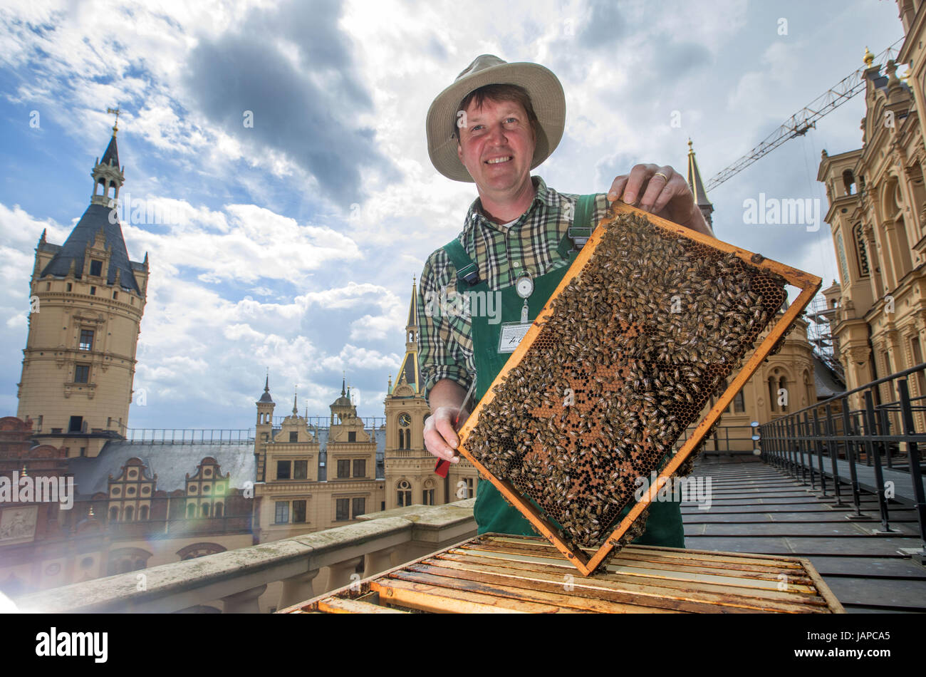 Schwerin, Germany. 7th June, 2017. Beekeeper Mirko Luna inspects a ...