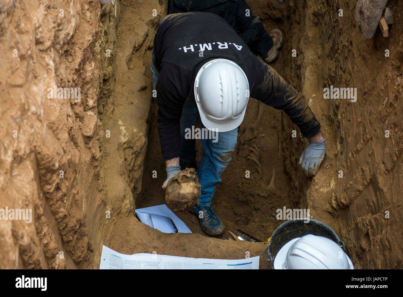 Guadalajara, Spain. 29th Jan, 2016. A volunteer retrieves the skull ...