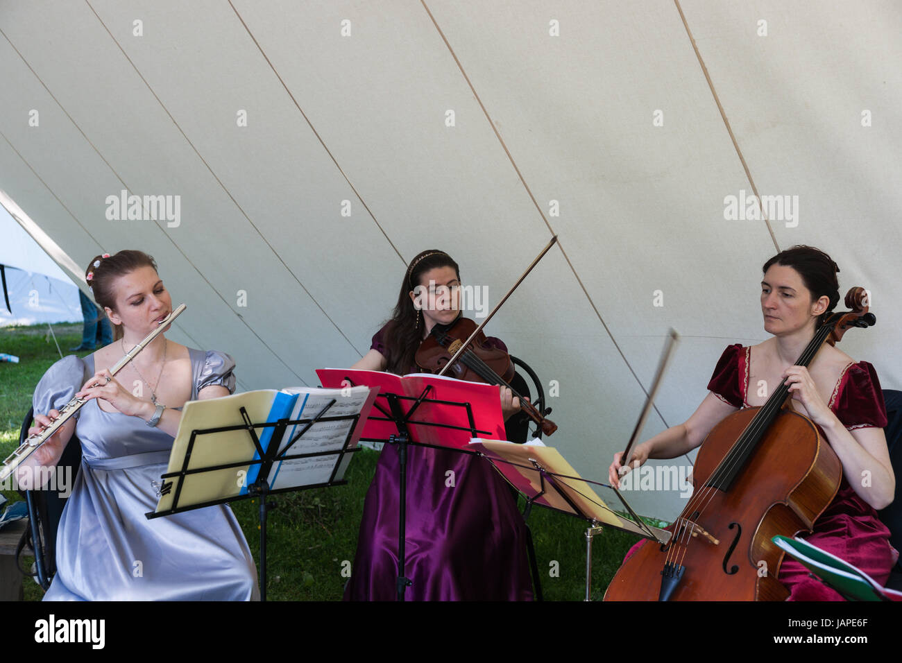 Musicians in ancient rome hi-res stock photography and images - Alamy