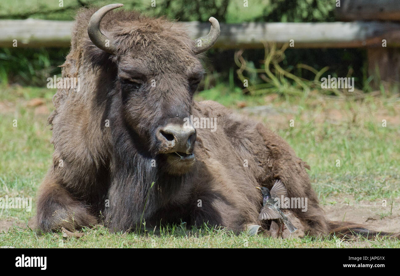 Seven hectare park hi-res stock photography and images - Alamy
