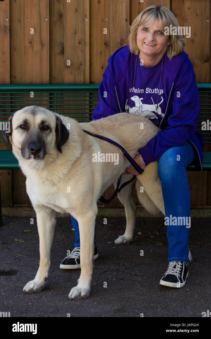 Marion wunn hi-res stock photography and images - Alamy