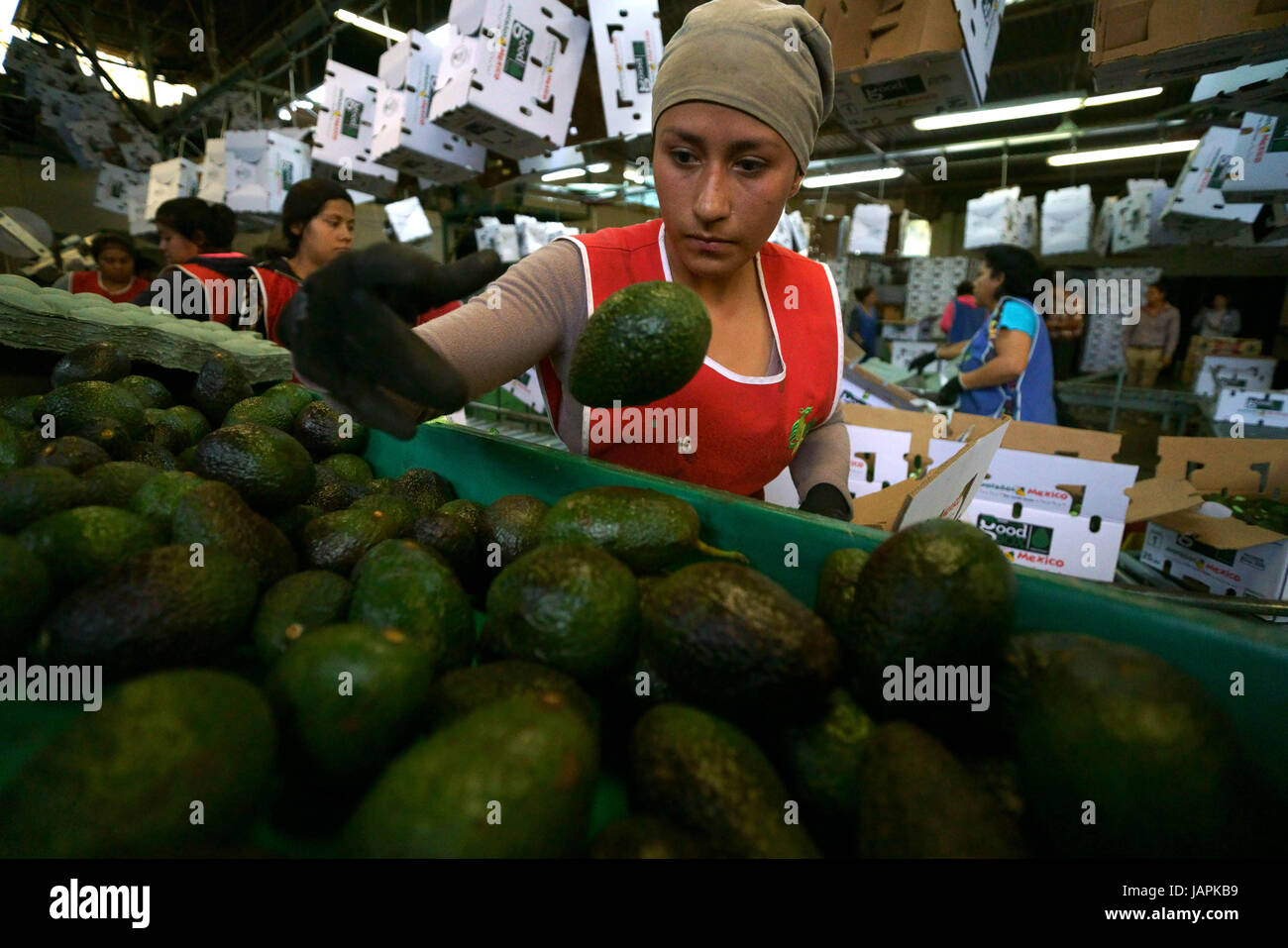Uruapanat hi-res stock photography and images - Alamy