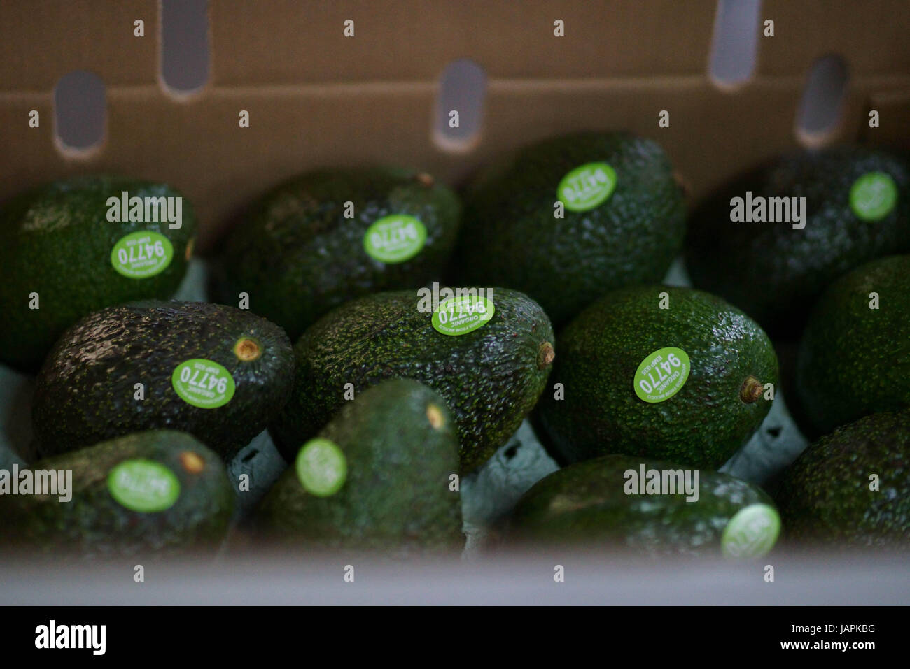 Michoacan avocado hi-res stock photography and images - Alamy