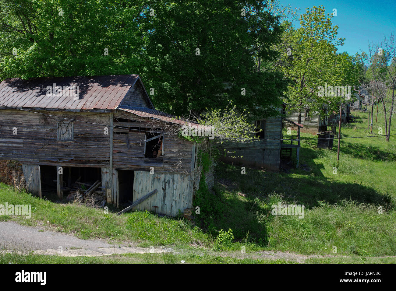HAUNTING images have offered a glimpse into the town where ‘District 12 ...
