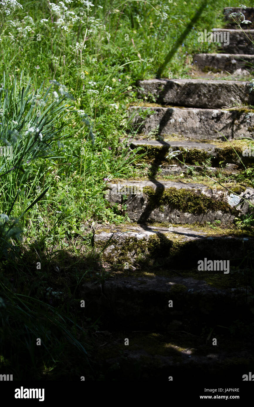 A set of old worn and weathered stone steps in a large garden Stock ...