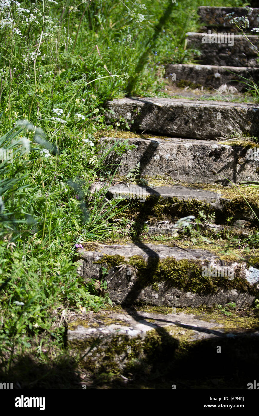 Weathered stone steps hi-res stock photography and images - Alamy