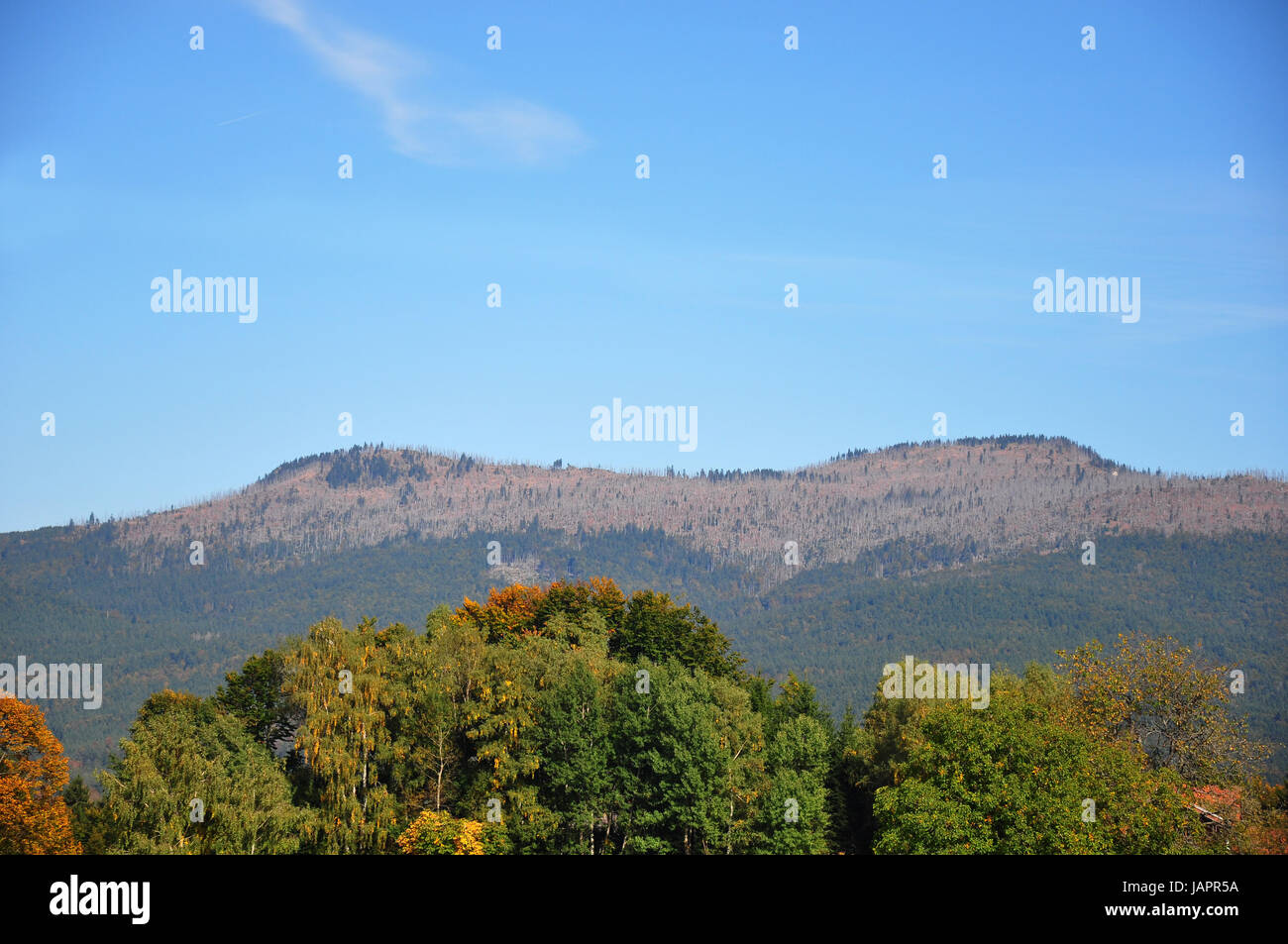Kleiner und Großer Rachel im Bayerischen Wald Stock Photo - Alamy