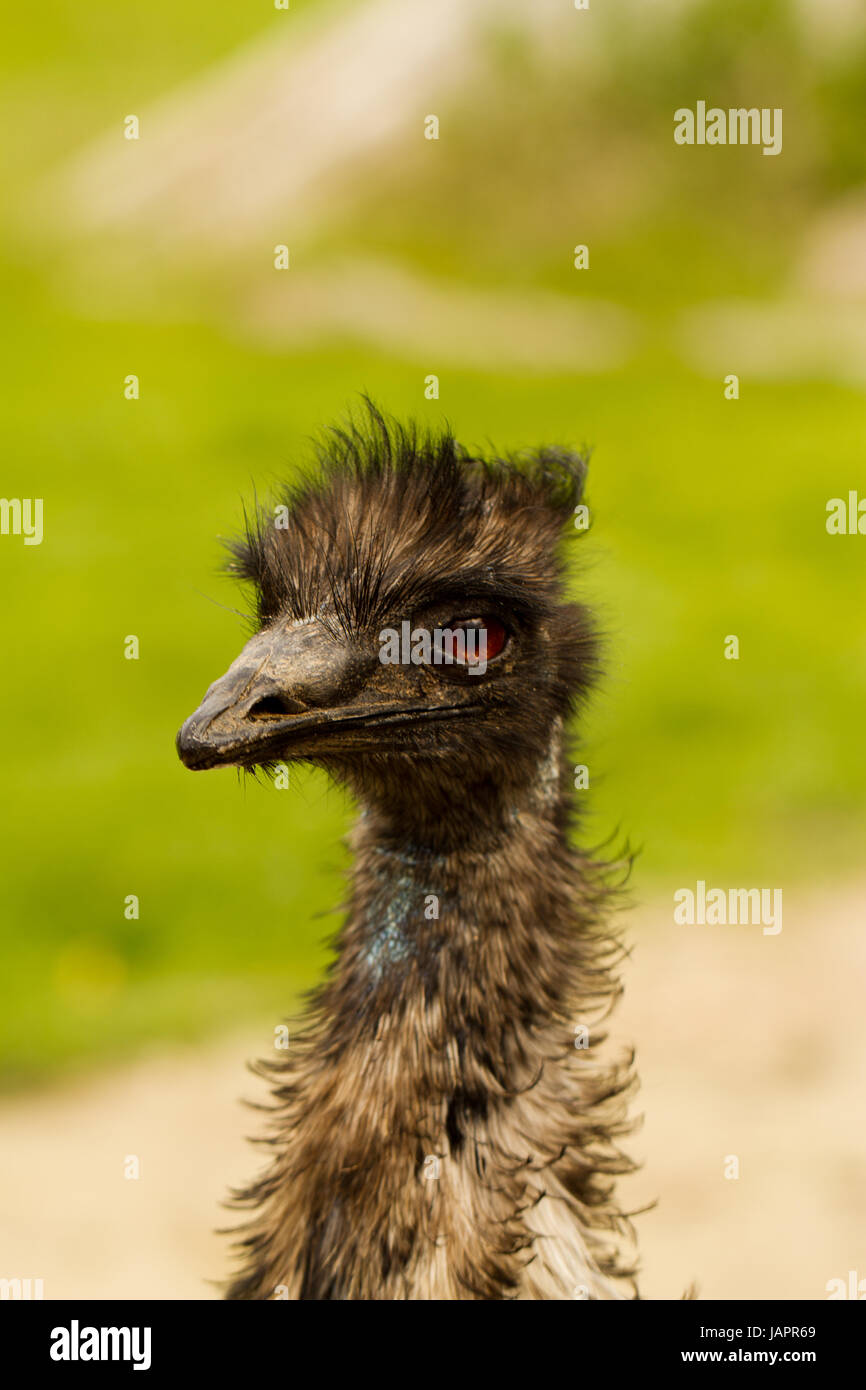 Funny mom alone hi-res stock photography and images - Alamy