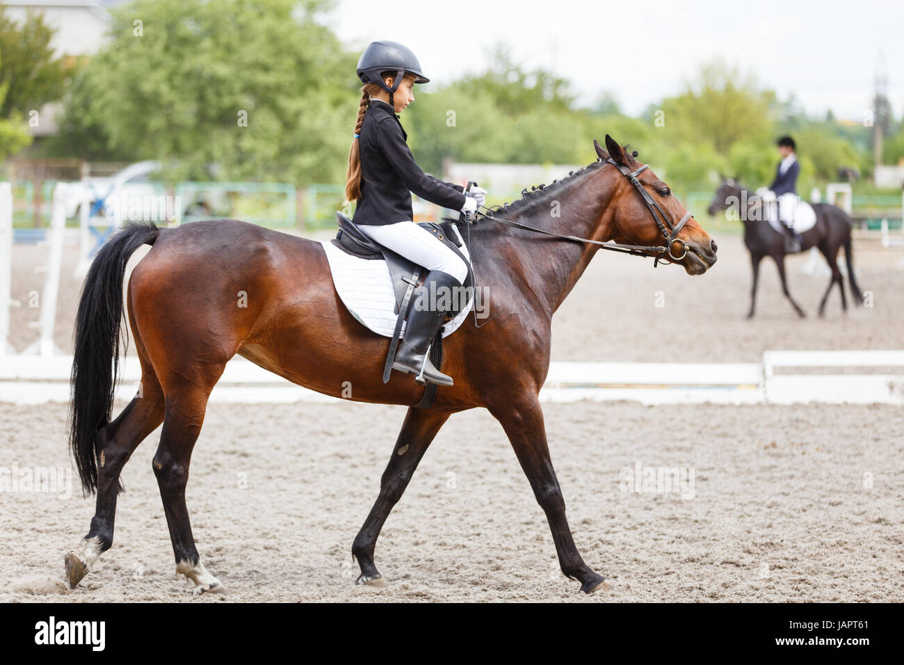Young teenage girl in helmet riding horse on dressage equestrian ...