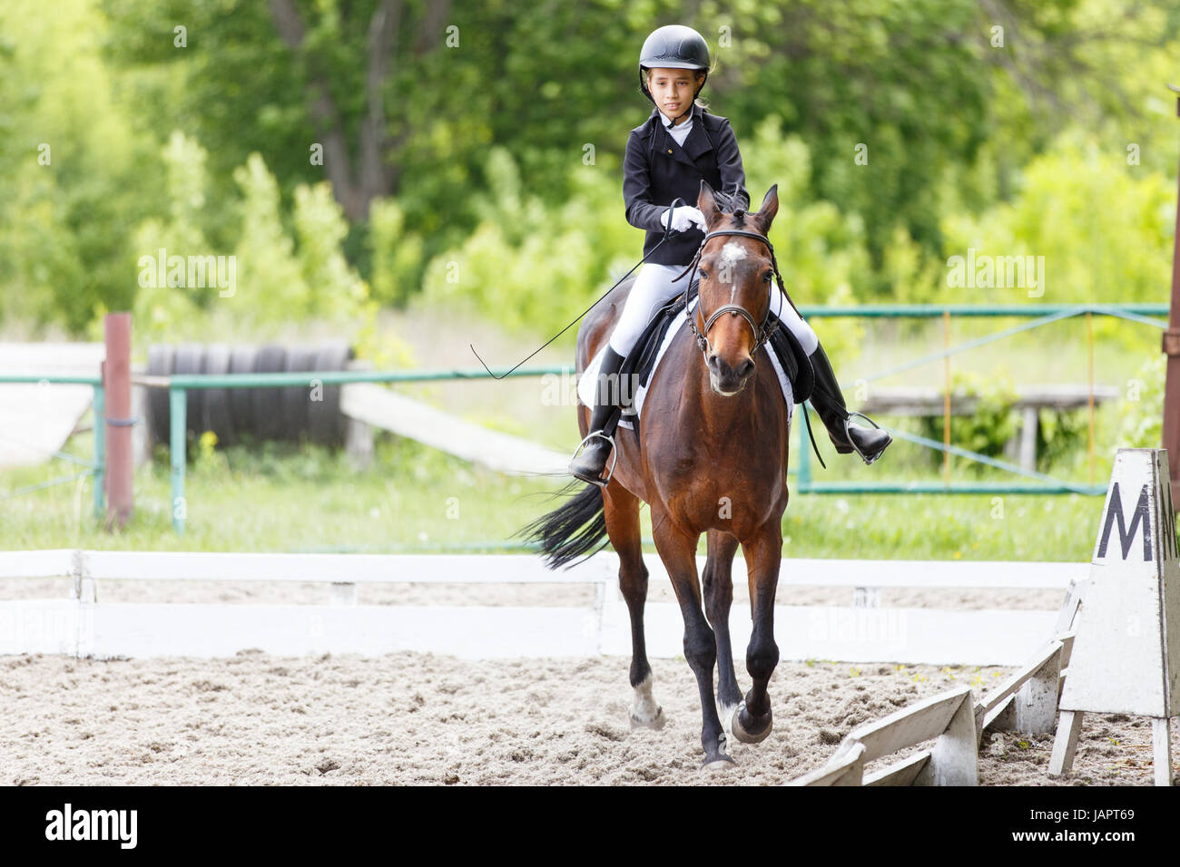 Equestrian competition child hi-res stock photography and images - Alamy