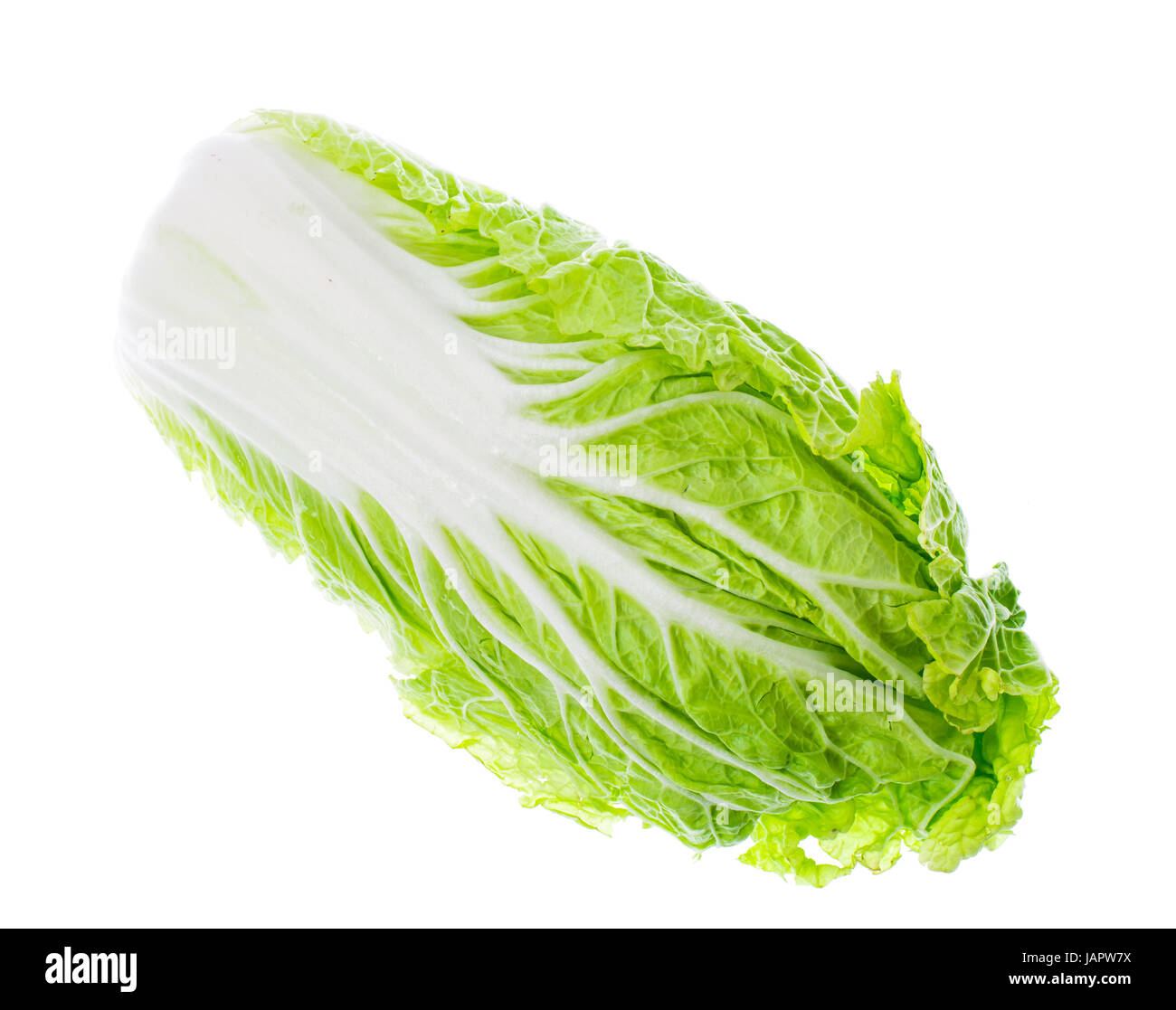 Head of fresh green Chinese cabbage Stock Photo - Alamy