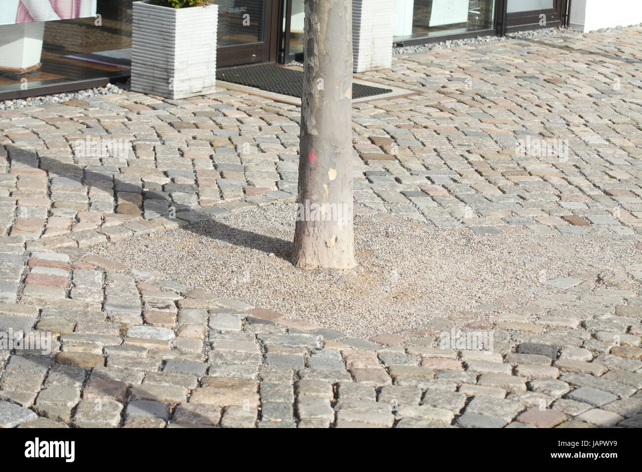 Patch plant hi-res stock photography and images - Alamy