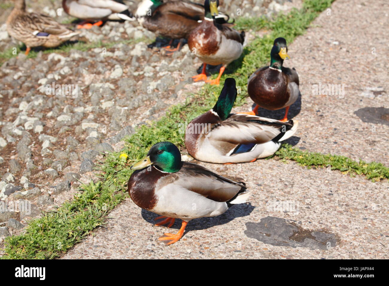 Bank embankment hi-res stock photography and images - Alamy