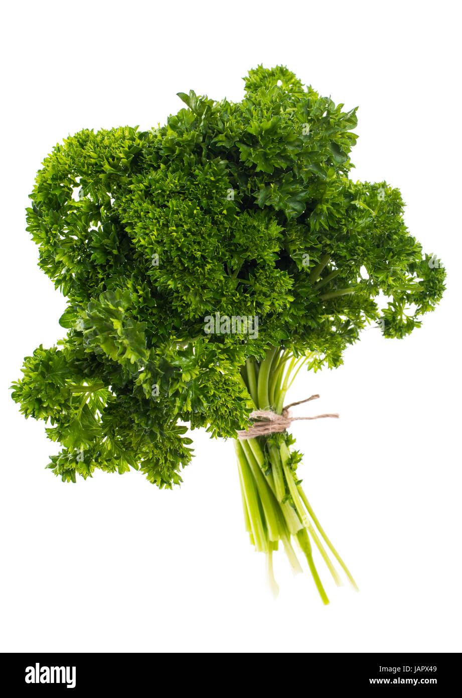 A bunch of fresh green parsley on white background Stock Photo - Alamy