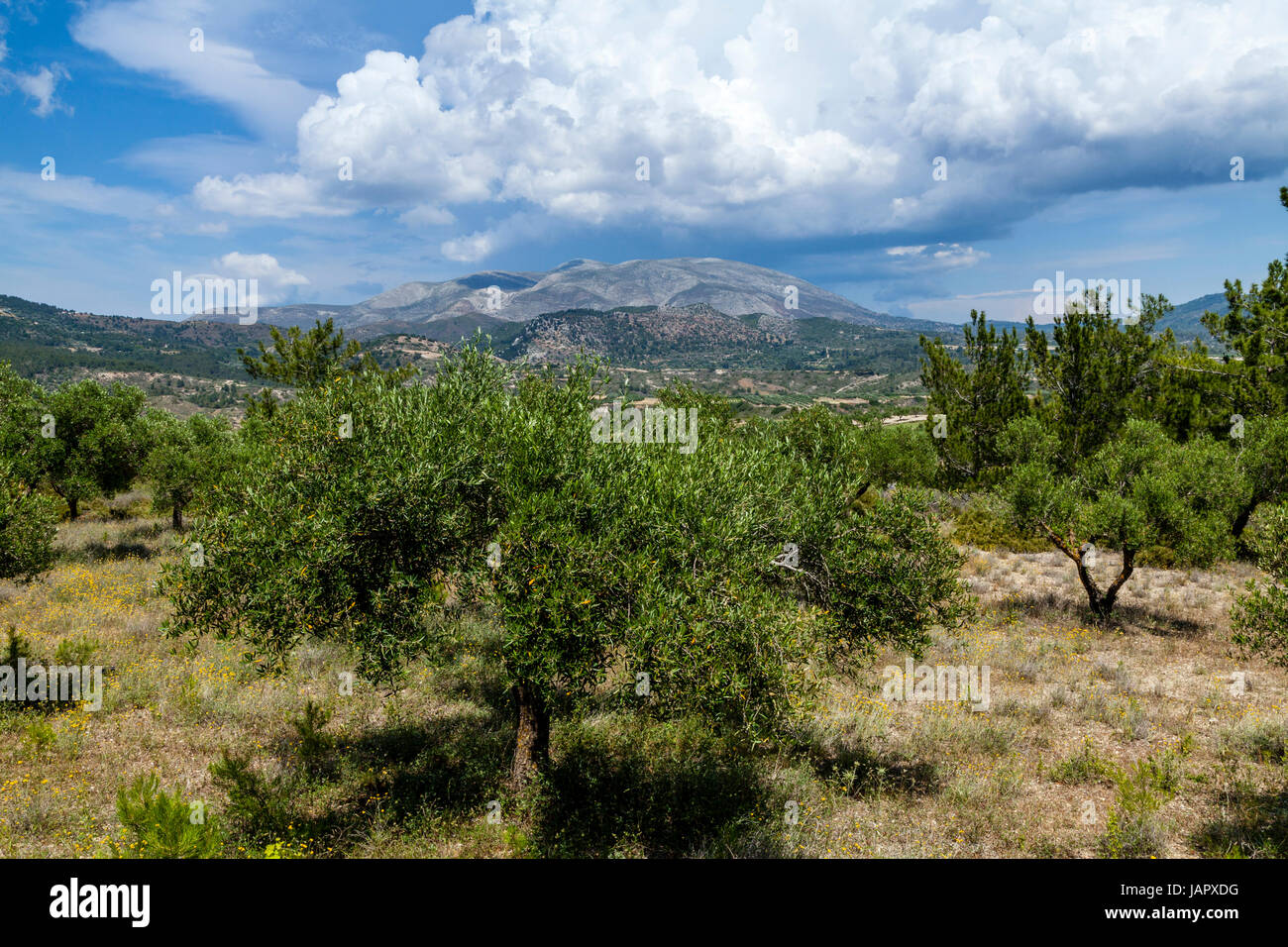 Rural scenery greece hi-res stock photography and images - Alamy