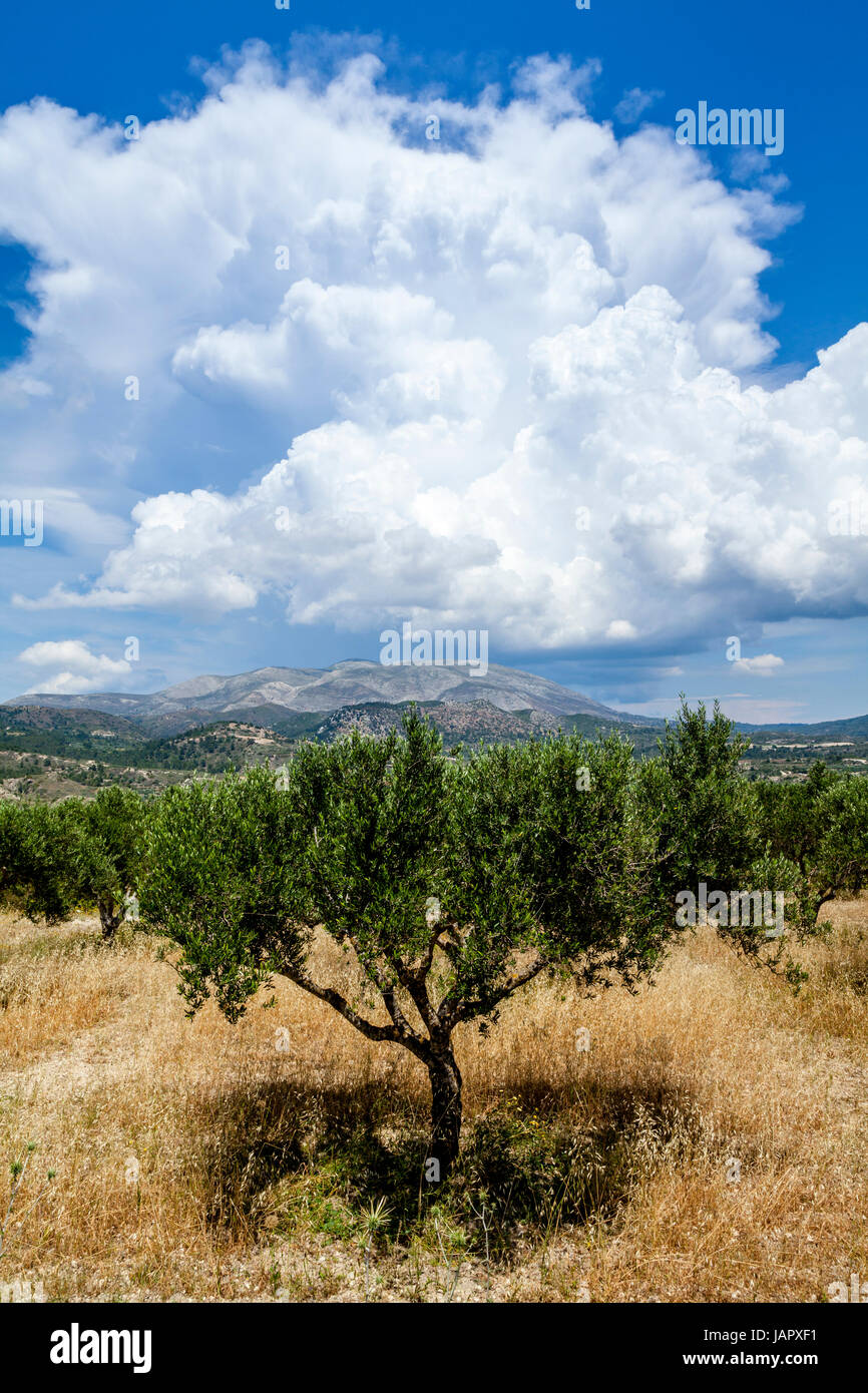 Rural scenery greece hi-res stock photography and images - Alamy