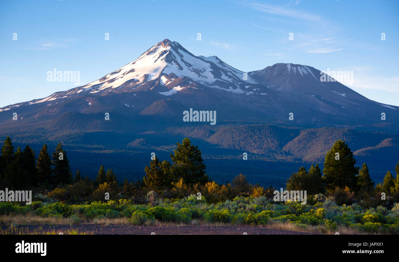 Horizontal composition over sage brush Mt Shasta California Stock Photo ...