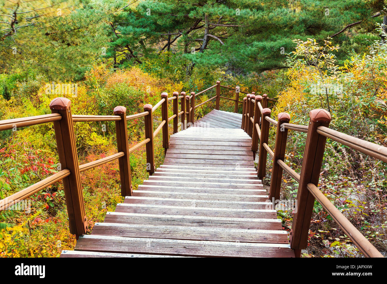 Wooden hiking path to the mountain Stock Photo - Alamy