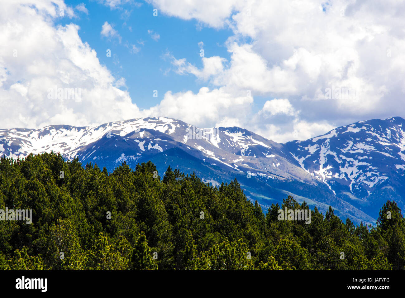Landscape of forest and pyrenees mountains Stock Photo - Alamy