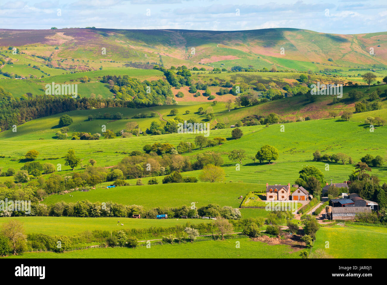 The view from Nipstone Rock towards the Long Mynd, Shropshire Stock ...