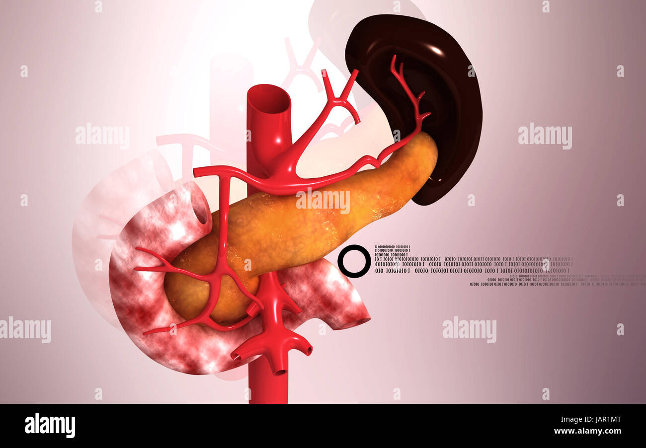 3d human dissection hi-res stock photography and images - Alamy