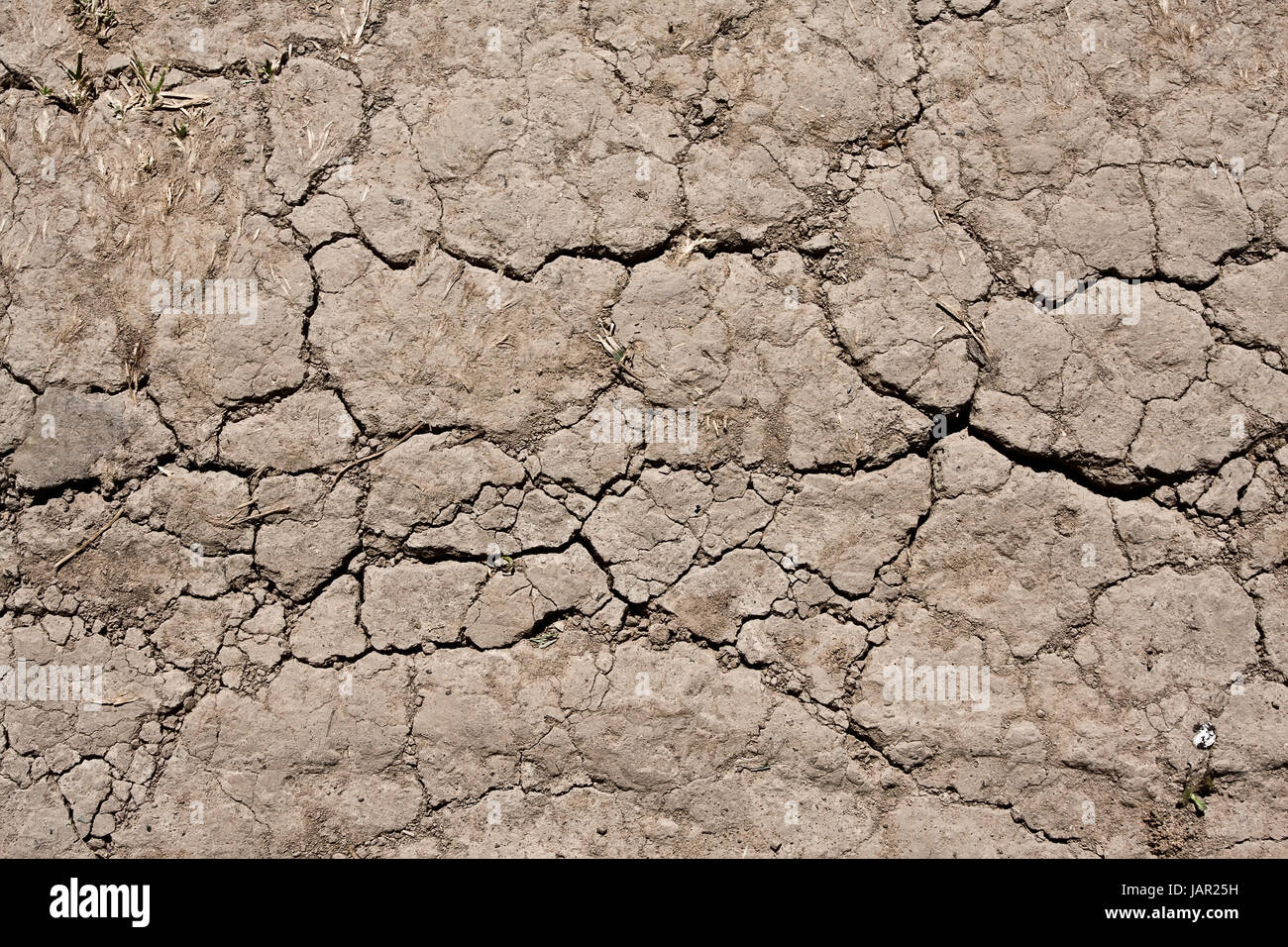 Land with dry cracked ground texture background Stock Photo - Alamy