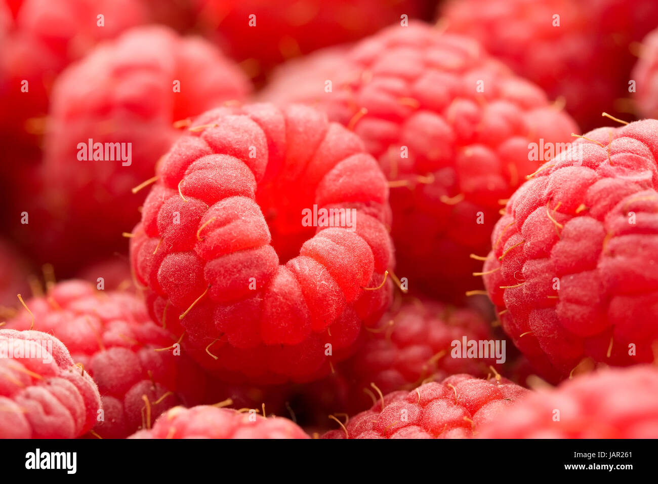 Many fresh red raspberries making beautiful background Stock Photo - Alamy