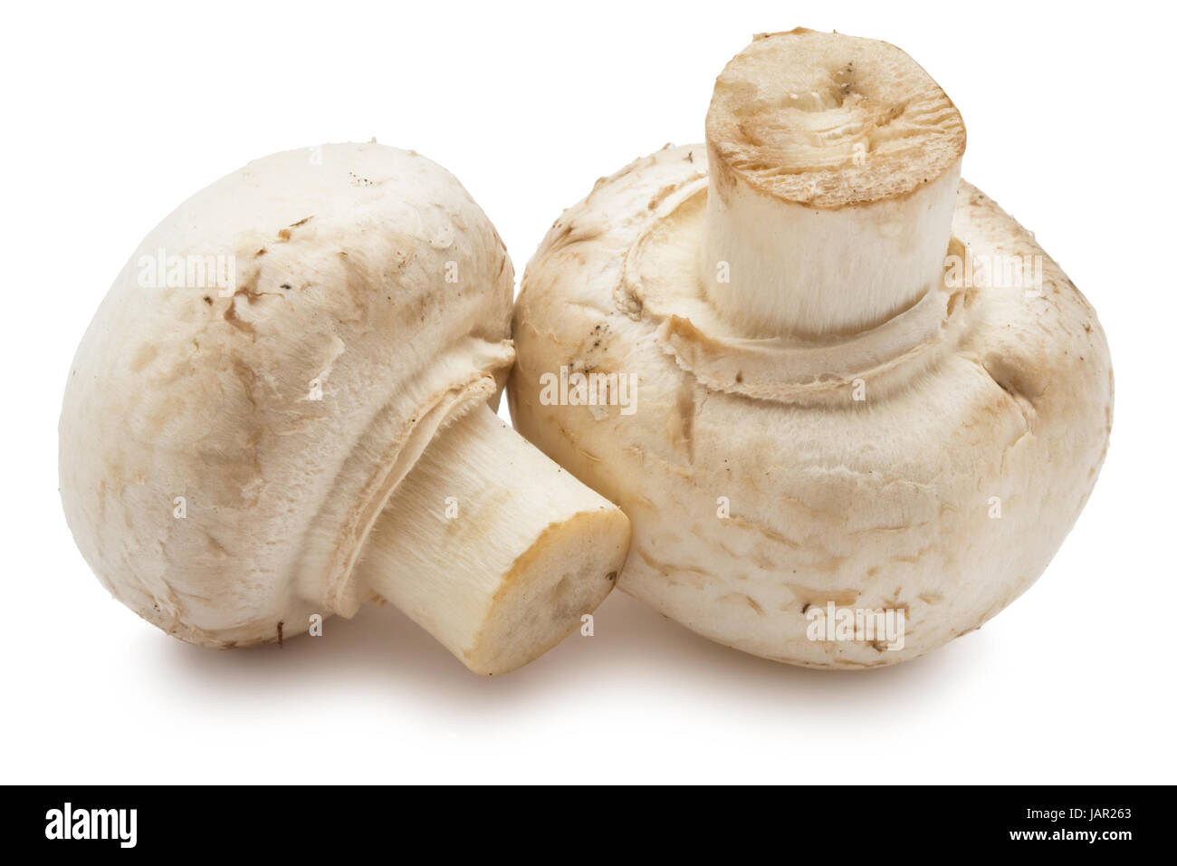 Fresh champignon mushrooms isolated on white background Stock Photo - Alamy