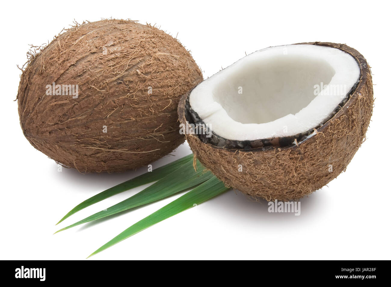 Perfect fresh coconut isolated on white background Stock Photo - Alamy