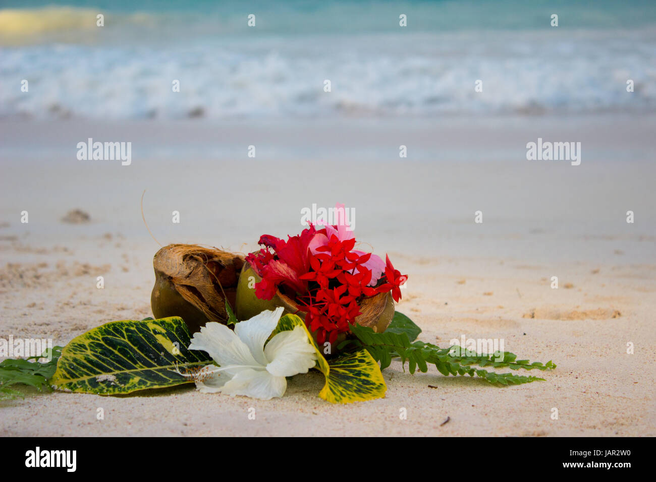 An open coconut with tropical flowers,on the beach Stock Photo - Alamy