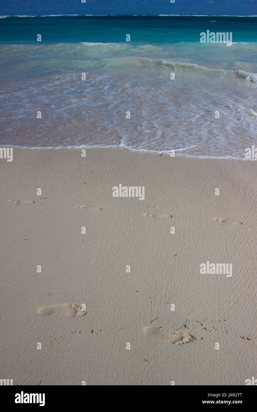 footprints in the sand of a beach with ocean in background Stock Photo ...