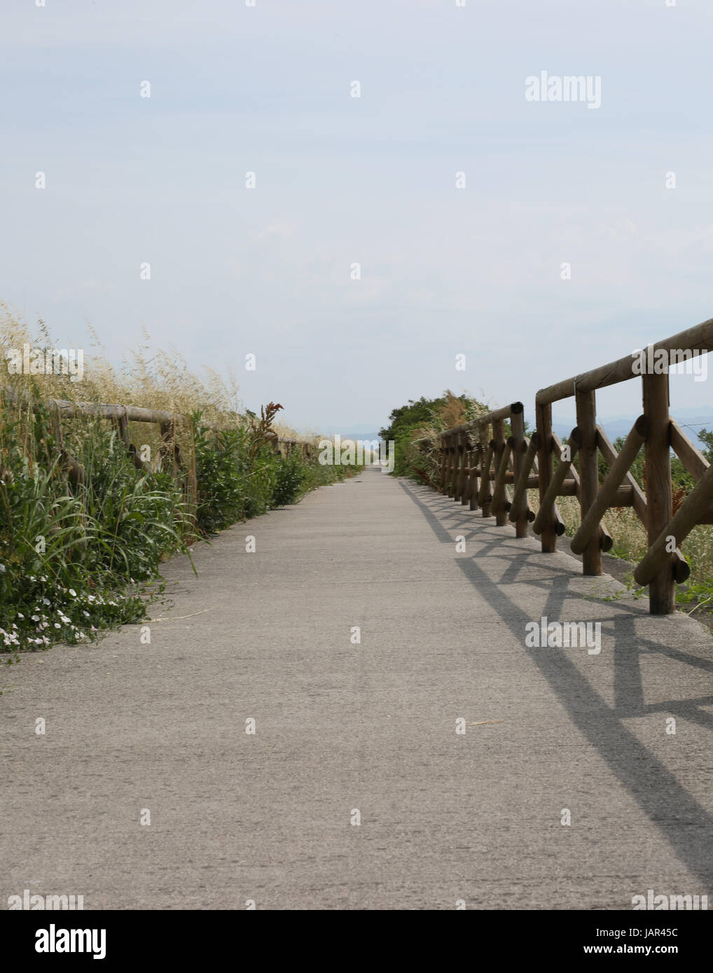 cycle path along the protected nature reserve with the long wooden ...