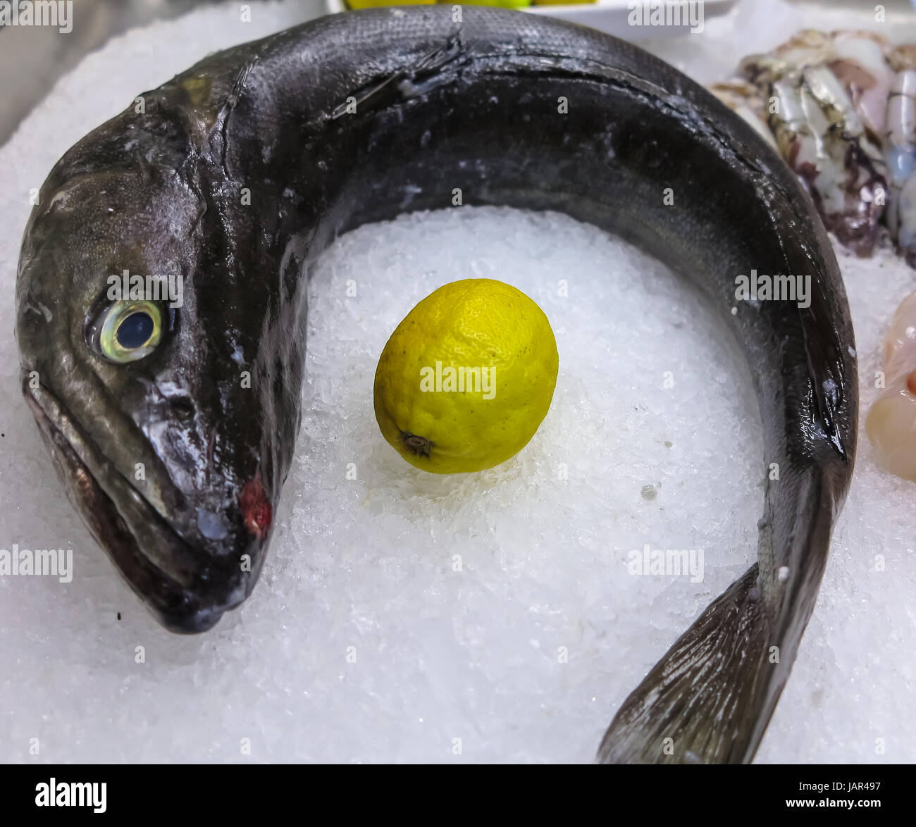 fresh hake fish Stock Photo - Alamy