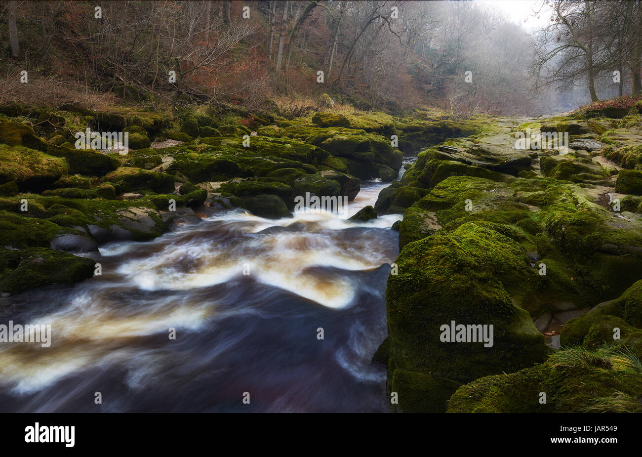 The strid is a series of waterfalls and rapids on the River Warfe near ...