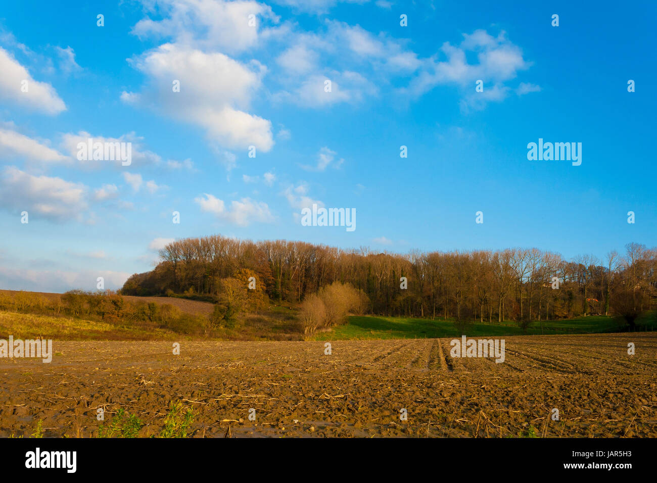 a beautiful autumn landscape in Flanders Stock Photo - Alamy