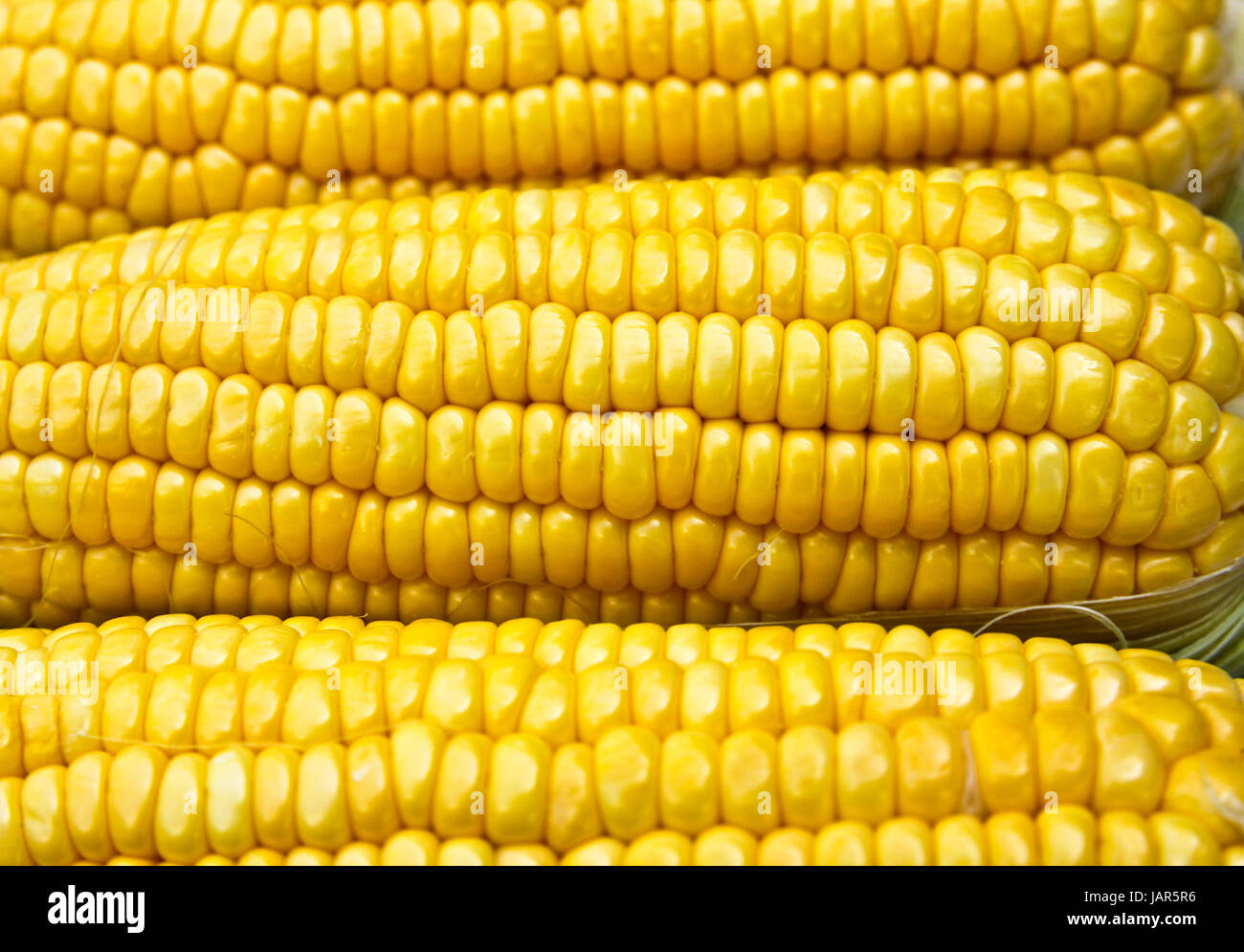 Bright color sweet corn Stock Photo - Alamy