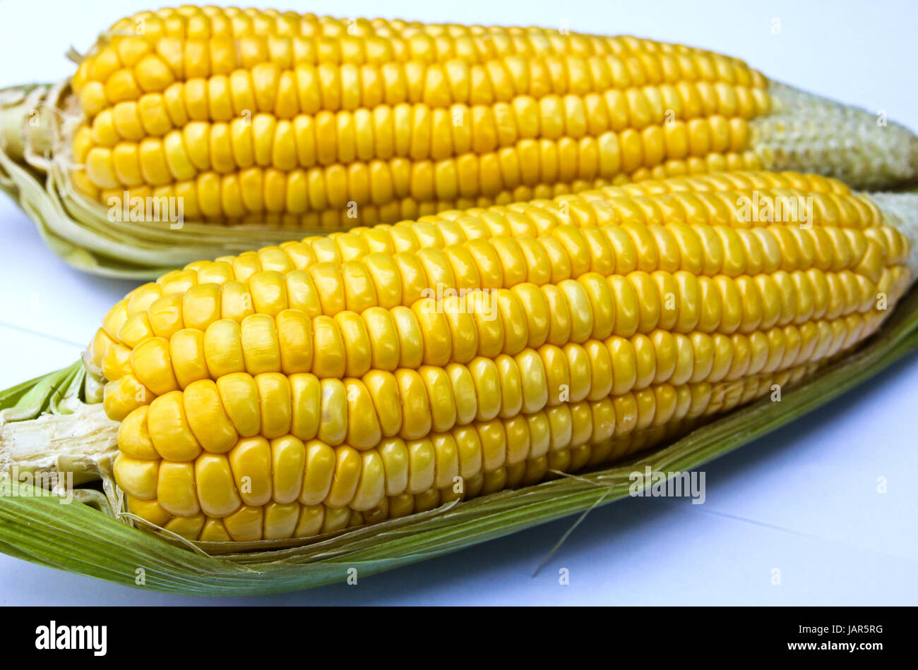 Bright color sweet corn Stock Photo - Alamy