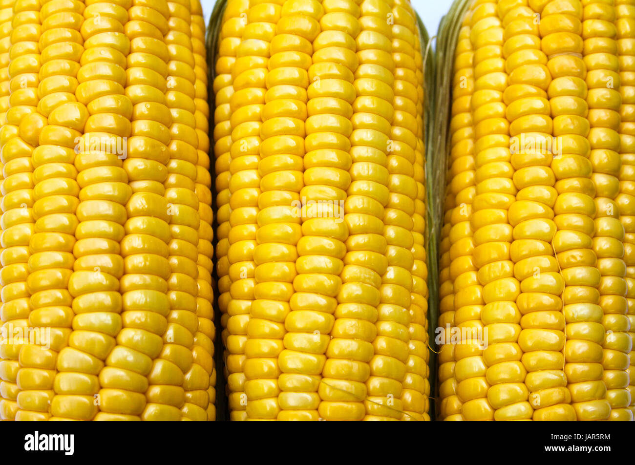 Bright color sweet corn Stock Photo - Alamy