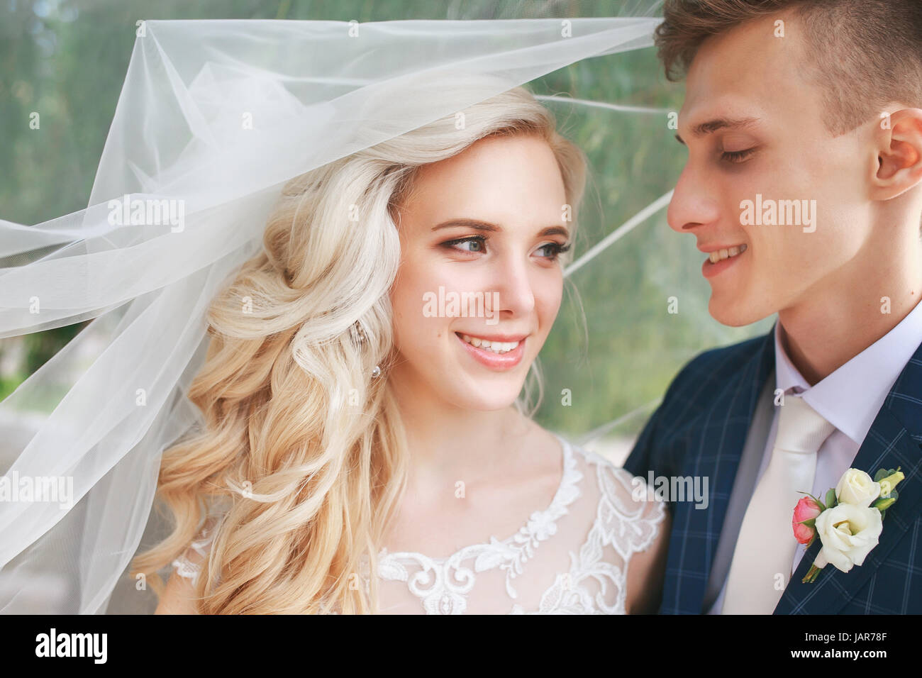Wedding couple kissing covered veil .Wedding romantic couple is hugging ...