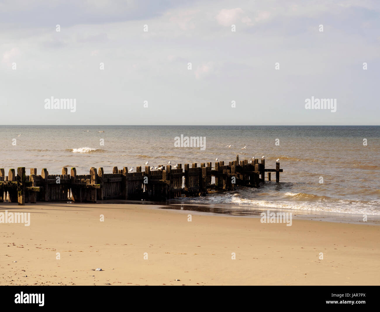 Timber groyne hi-res stock photography and images - Alamy