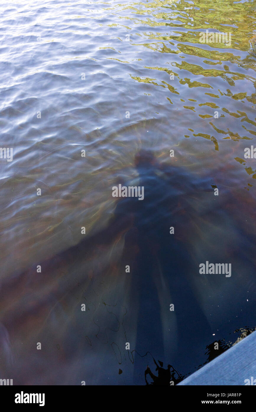 Figure background hi-res stock photography and images - Alamy